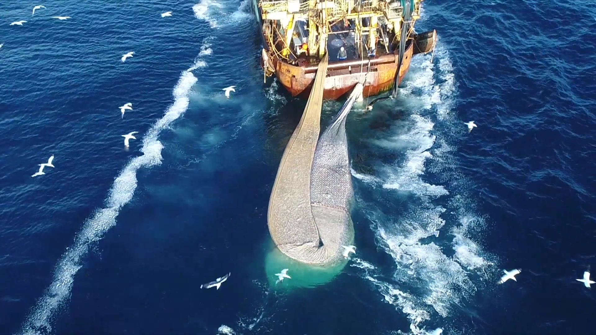 Bléck hannert d'Kulissen: Mat der Ëmweltschutzorganisatioun Sea ...