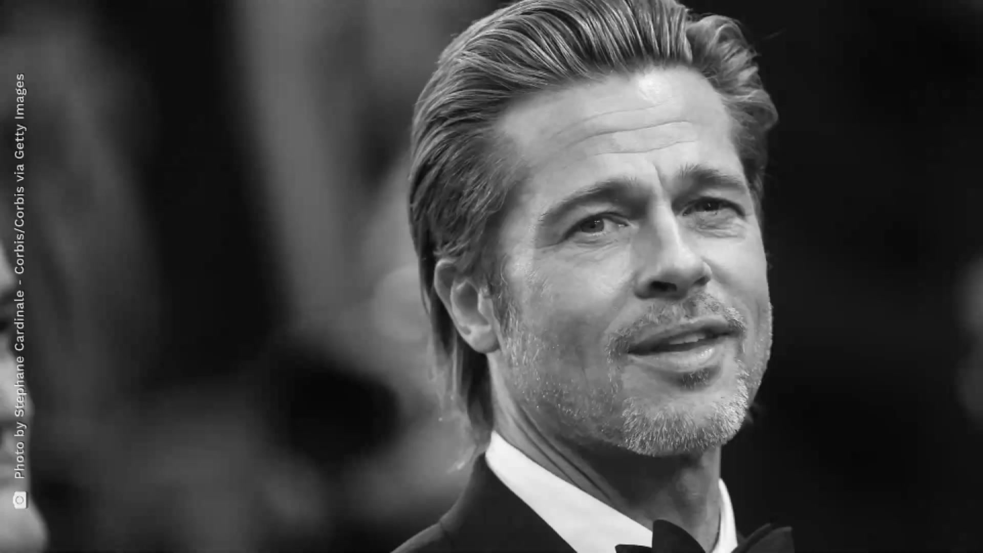 You can't BEE serious: Hollywood Abuzz With Rumors That Brad Pitt Is ...