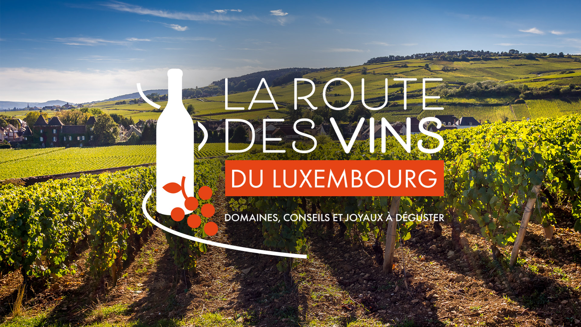 RTL Play - La Route des Vins du Luxembourg - Domaines viticoles ...