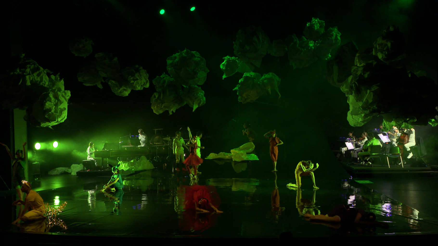 Am Groussen Theater: All d'Déieren aus dem Bësch - RTL Lëtzebuerg