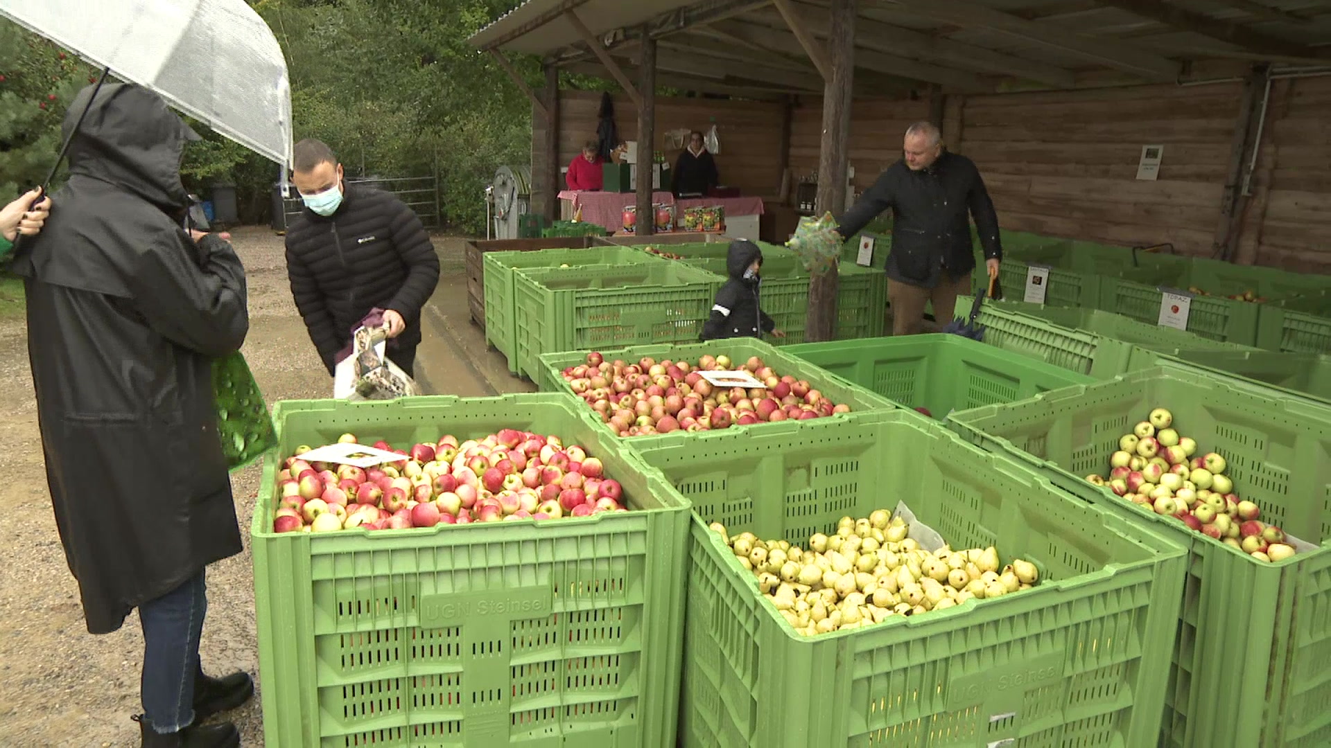 Méi kleng awer bessere Goût: Äppelbeem si gutt duerch den ze waarme ...