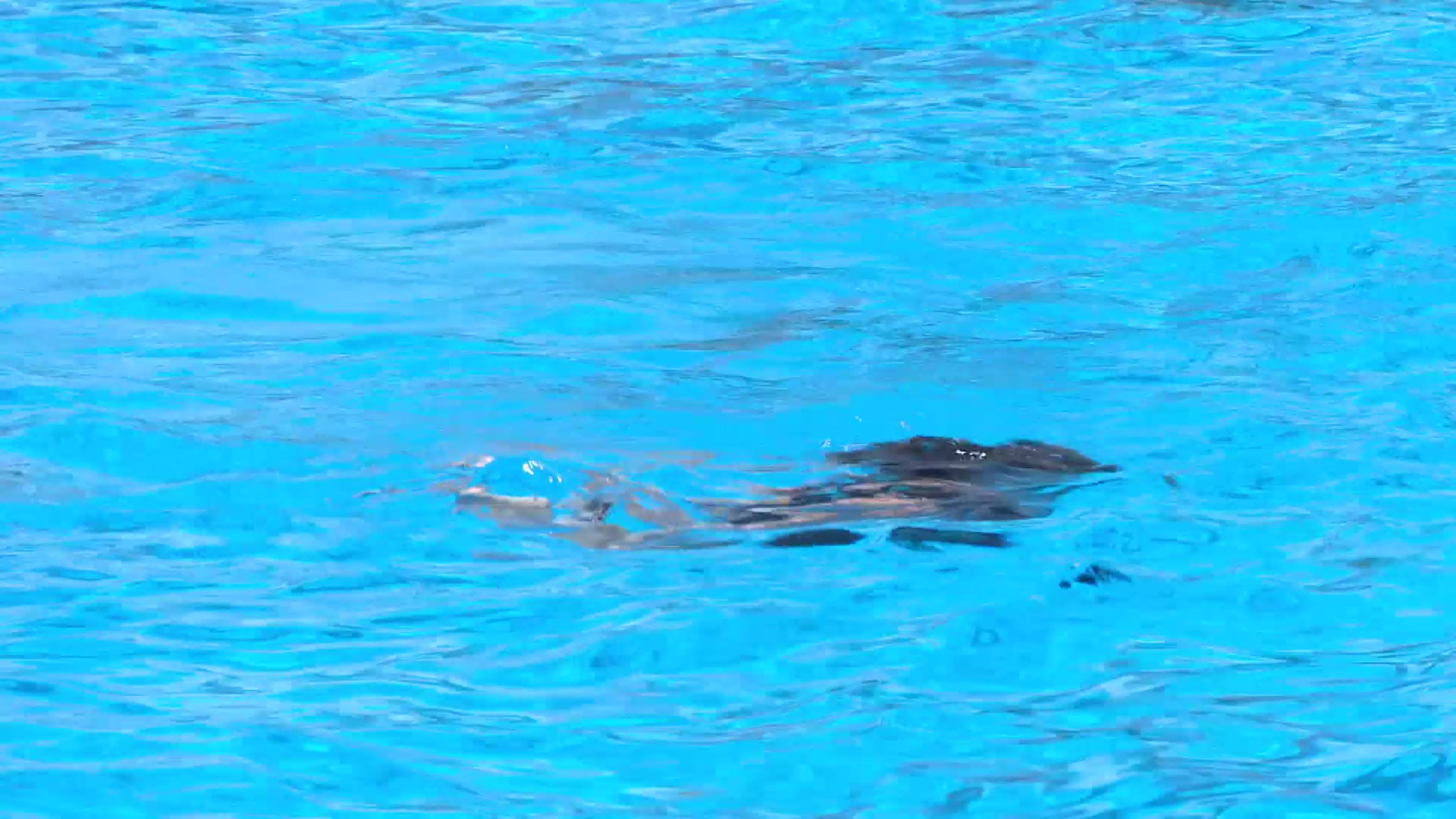 Vakanz a bal tropesch Temperaturen: Piscine, Sonn an Hëtzt: Wéi d’Leit ...