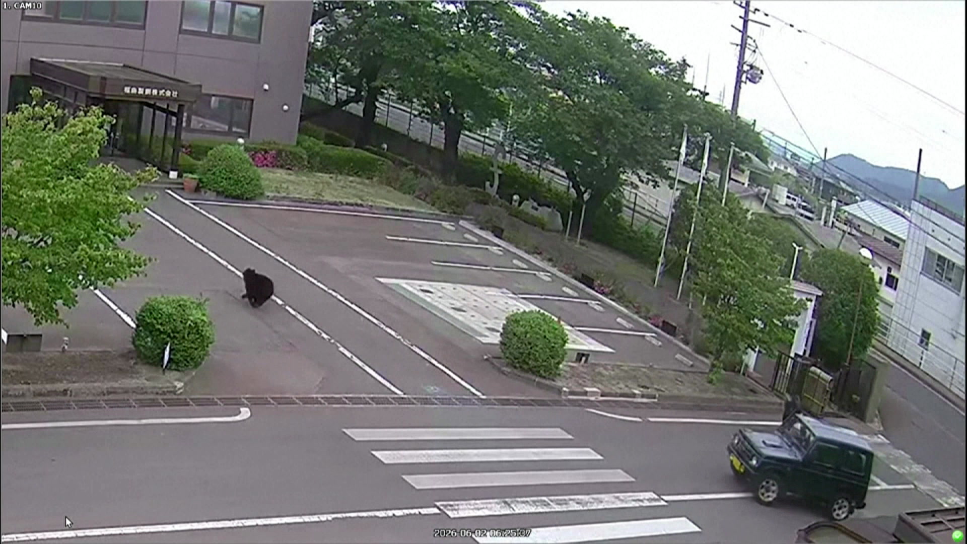 La vidéo : Un ours blesse quatre personnes à Fukushima - RTL Infos